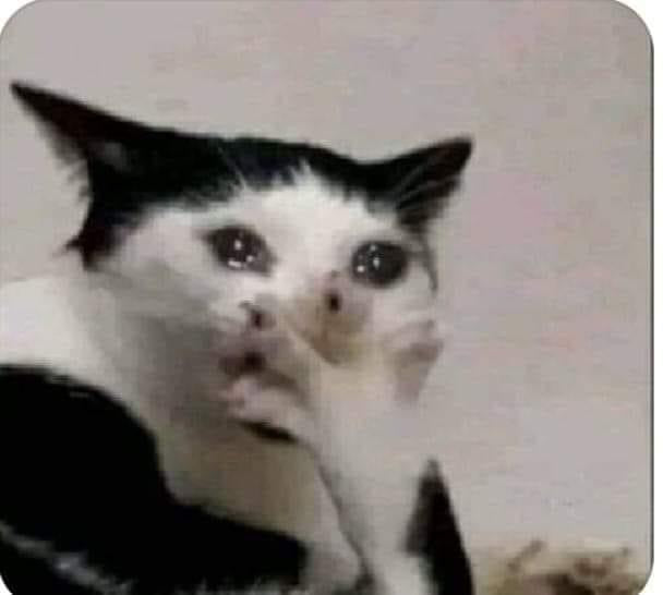 Vegan options – The hethersett butchers Ltd